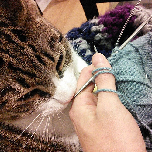 Ravelry: penny's Dash Cowl
