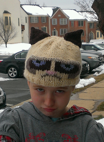 Ravelry: Grumpy Hat - Hat with Tardar Sauce, the Grumpy Cat's face ...