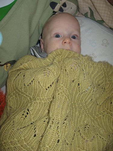 Ravelry: Arrowroot pattern by Sali Morris