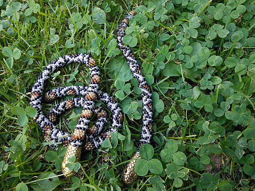 Ravelry: Metelitsa's Snake Set