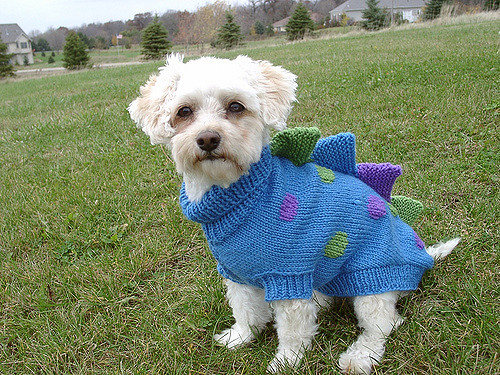 Ravelry: Dogosaurus Rex pattern by Patons