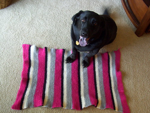 Ravelry: Pampered Paws Pet Mat pattern by Lion Brand Yarn