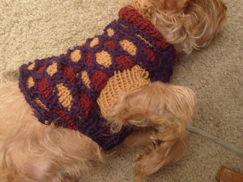 Ravelry: Spotty Dog Sweater pattern by Jami Fowler