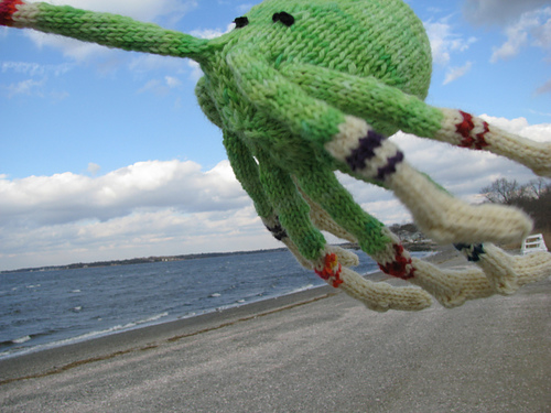 Ravelry: mollyjade's Socktopus