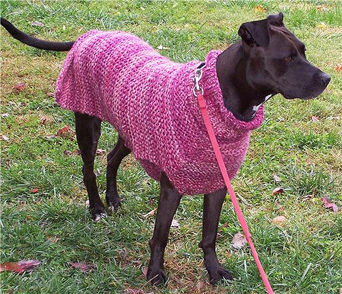 Ravelry: Need for Tweed Dog Sweater pattern by Shiri Mor
