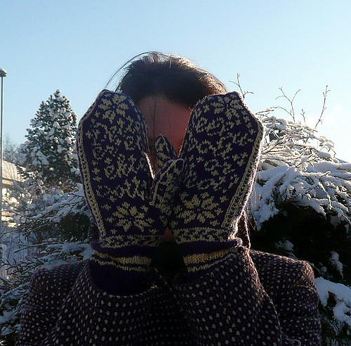 Ravelry: "Selbuvott or not" alias Selbu Sea Horse Mittens pattern by ...