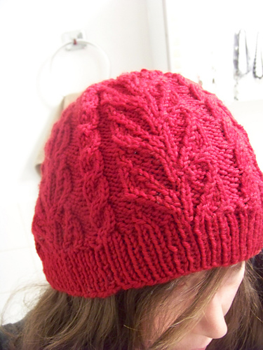 Ravelry: Winter in Canada pattern by betafish