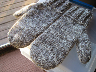 Ravelry: Two Needle Mittens pattern by Carole Don