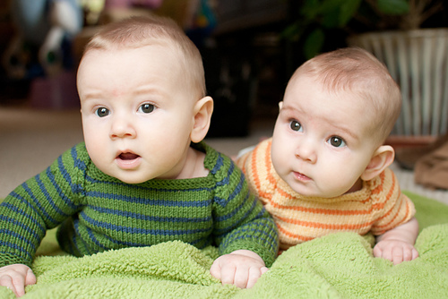 Ravelry: Baby Shell pattern by Carey Huffman