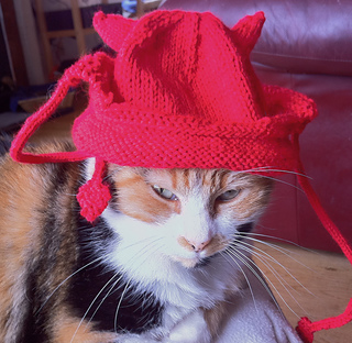 Ravelry: catmum's Two Little Devils