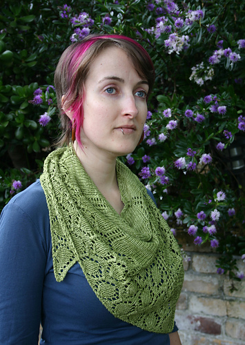 Ravelry: Garden Arbor Shawl pattern by Kira Dulaney