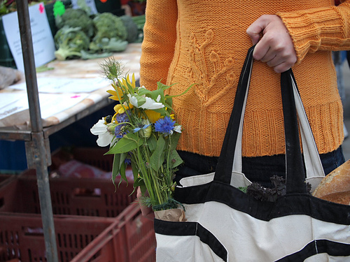 Ravelry: Skelf pattern by Ysolda Teague