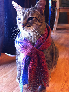 Ravelry: thingwhatsqueeks' Little Frilly Neck Thing