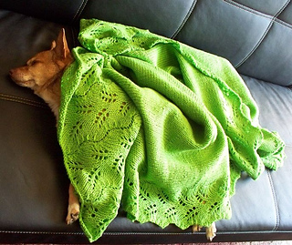 Ravelry: ThatOtherRedhead's Astro Fern