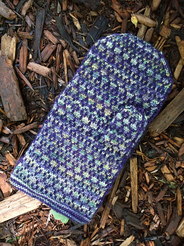 Ravelry: Common Blue Mittens pattern by Odessa Reichel