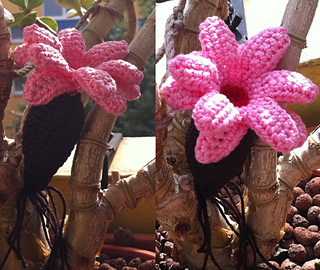 Ravelry: Body snatcher seedling pattern by Kerstin Batz