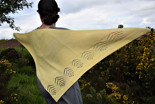 Ravelry: Sunflower Shawl pattern by Munro Sisters3