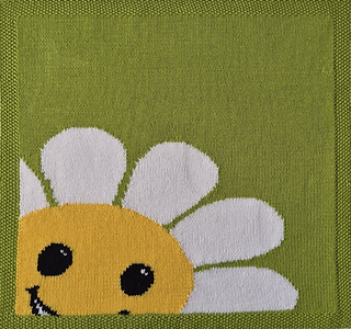 Ravelry: Daisy Baby Blanket pattern by Sheri Cameron
