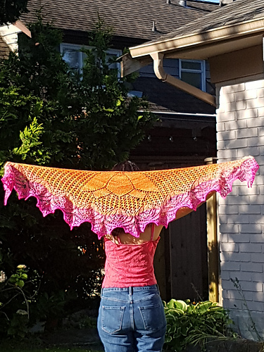 Ravelry: Under the Canopy Lace Shawl pattern by Anna Victoria