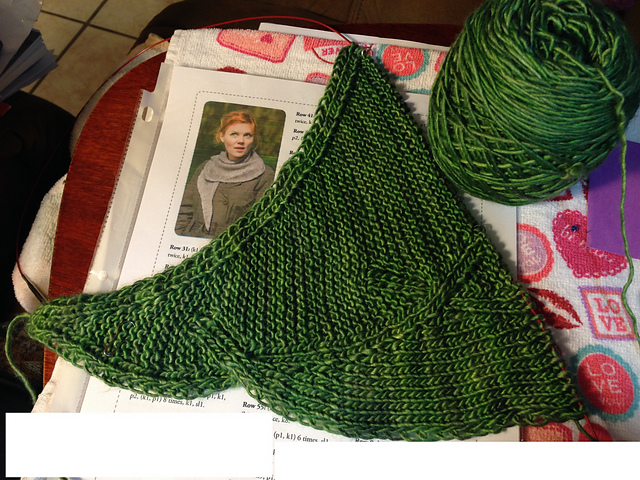 Ravelry: Aetara's Marin Camp Loopy 2015
