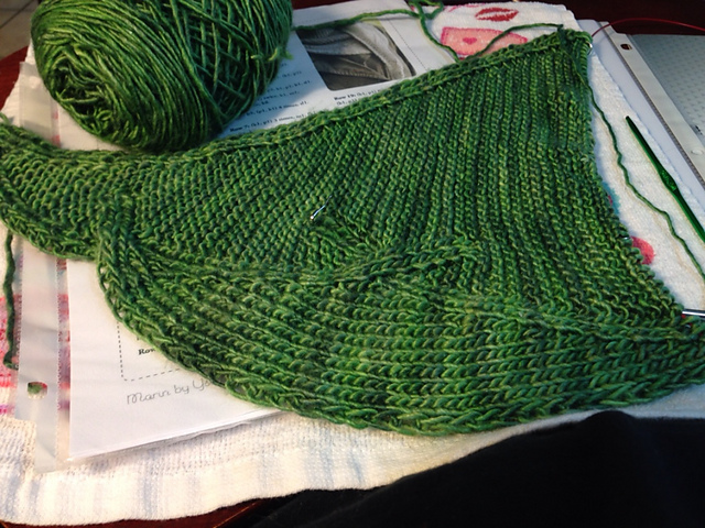 Ravelry: Aetara's Marin Camp Loopy 2015