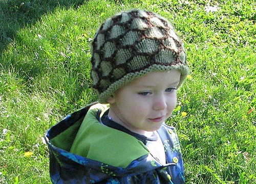 Ravelry: Alanabraedley's Turtle Shell Hat