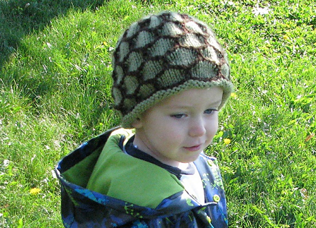 Ravelry: Alanabraedley's Turtle Shell Hat