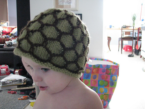 Ravelry: Alanabraedley's Turtle Shell Hat