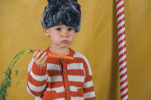 Ravelry: Mr Loyal pattern by Alice Hammer