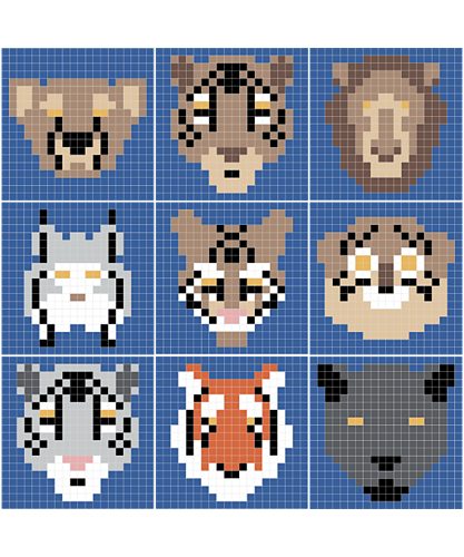 Ravelry: Big Cat C2C Blocks pattern by Alisha Ober