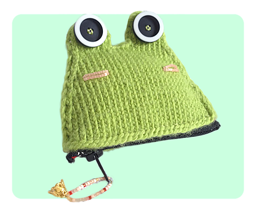 Ravelry: Frog Coin Purse pattern by Dina Wirawan