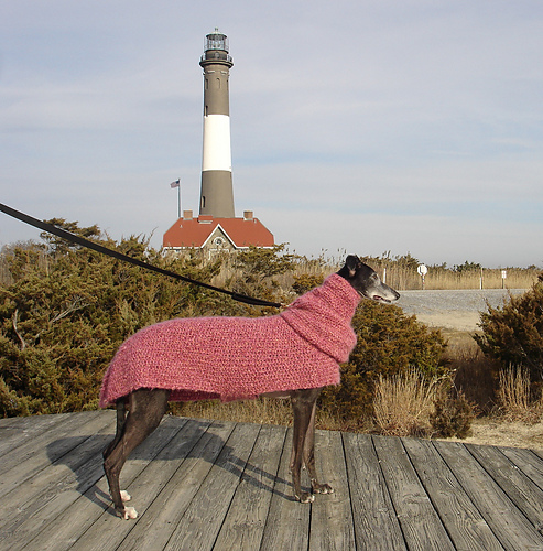 Ravelry: Quick & Easy Greyhound Dog Sweater pattern by Lenora Conlon