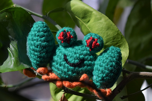 Ravelry: Tree Frog pattern by Julia Diepenveen