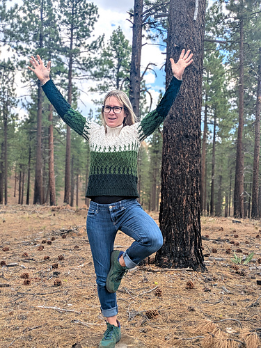 Ravelry: Between the Trees pattern by Amy Gunderson