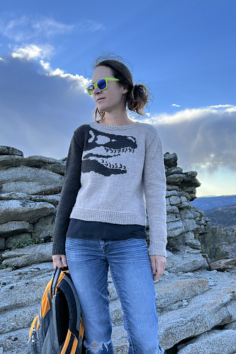 Ravelry: Dynomite pattern by Amy Gunderson