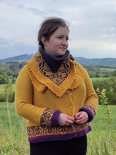 Ravelry: Honeybee shawl pattern by Andrea Cretu