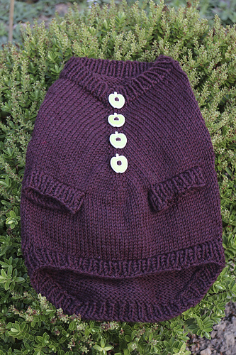 Ravelry: Pug Dog Sweater pattern by Angelcatkins (Elizabeth Scott) Designs