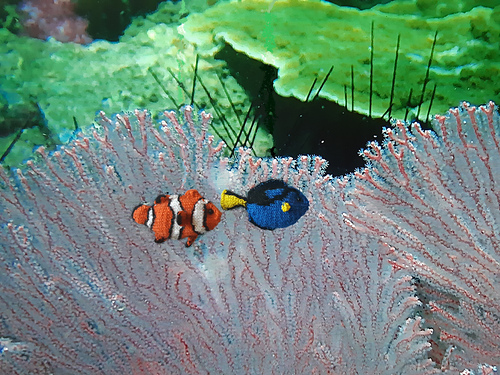 Ravelry: Nemo & Dory seascape pattern by Viv's Knits