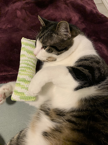 Ravelry: Kicker Cat Toy pattern by JWT