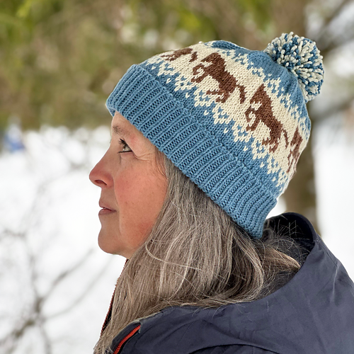 Ravelry: Solstice Horse Hat pattern by Melissa Burke