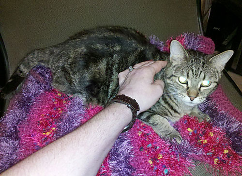 Ravelry: Cat Mat pattern by Marianne Forrestal