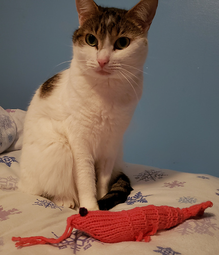 I’ve been making little things for my mini craft room tree each day of ...