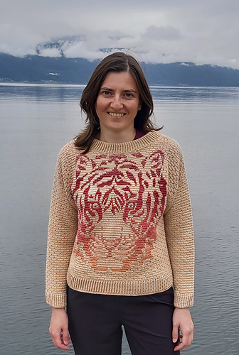 Ravelry: Tiger Mosaic Sweater pattern by Natalia Kononova