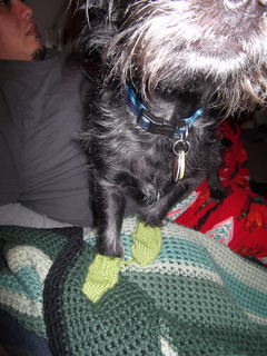 Ravelry: Banzai's Booties pattern by Nicole Hoch
