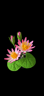 Ravelry: Crochet Water lily flowers pattern by T Jaik