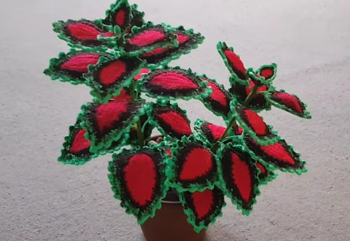 Ravelry: Crochet Coleus plant pattern by T Jaik