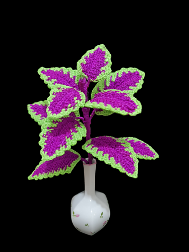 Ravelry: Crochet Coleus plant pattern by T Jaik
