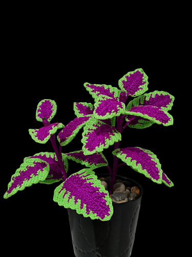 Ravelry: Crochet Coleus plant pattern by T Jaik