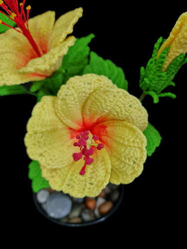 Ravelry: Crochet Hibiscus flowers pattern by T Jaik