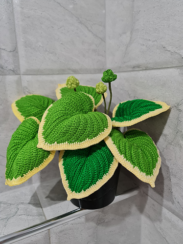 Ravelry: Crochet Hosta plant pattern by T Jaik